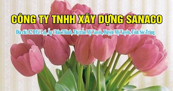 Công ty TNHH Xây dựng Sanaco - Kiểm Sát Online